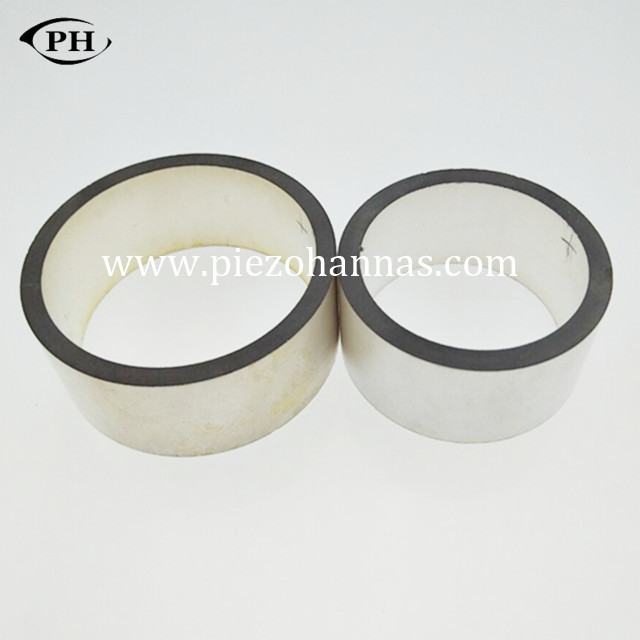 49mmx23mmx6mm High Quality Alumina Piezometer Rings for Transducer from ...